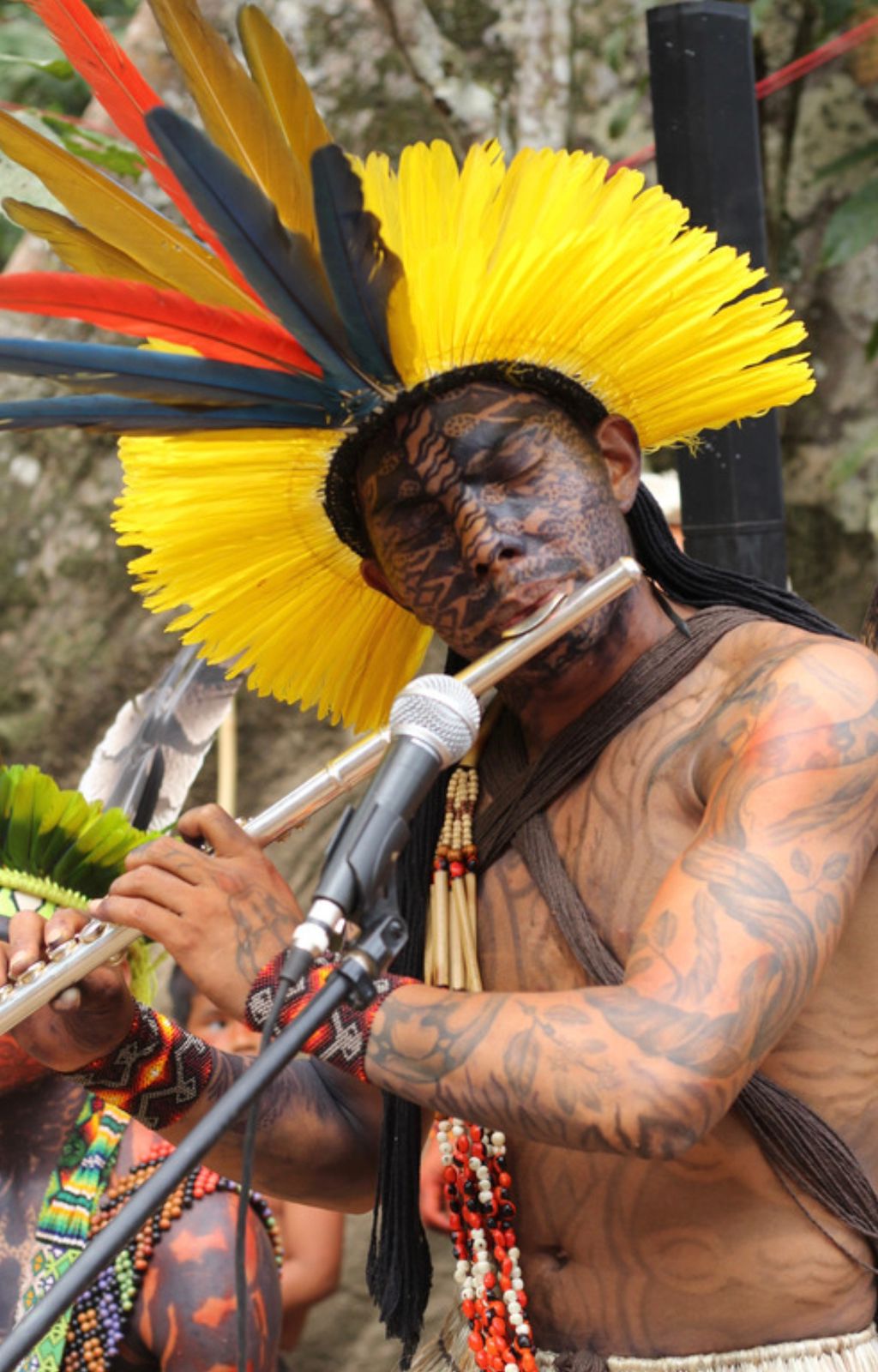 Rapé Yawanawá Tsunu Rasu – BiuBiu.Biutiful